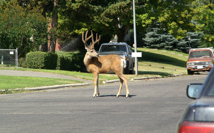 Τι είναι η «ανθρωποπαύση» που επέφερε ο κορονοϊός και πώς επιδρά στην ...