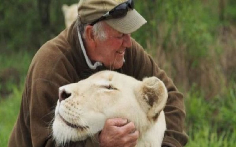 Τον σκότωσαν τα λιοντάρια που μεγάλωσε γιατί τα άγρια ζώα δεν ...