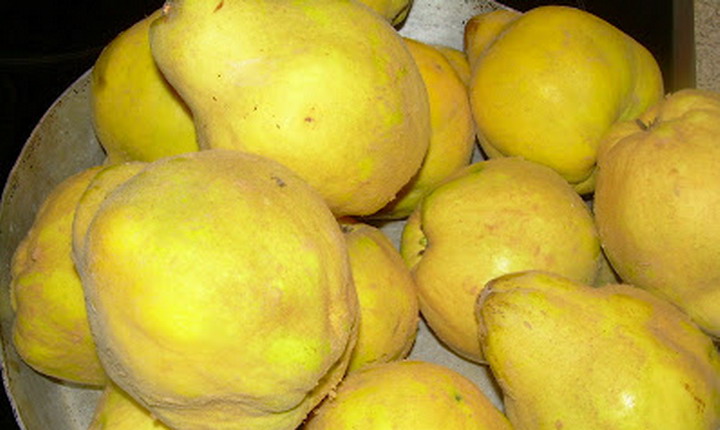 Κυδώνι: Γνωρίστε την διατροφική του αξία! - trikalaIN