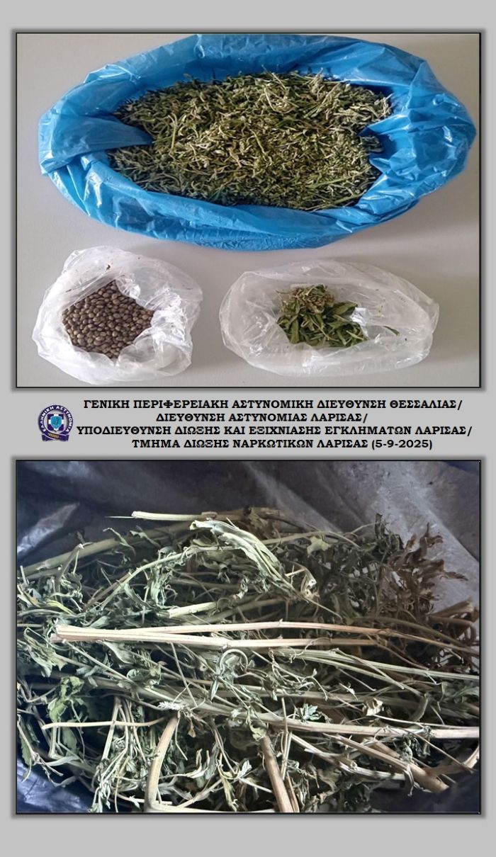 Aστυνομικοί βρήκαν δενδρύλλια και ποσότητα κάνναβης σε σπίτι σε περιοχή ...